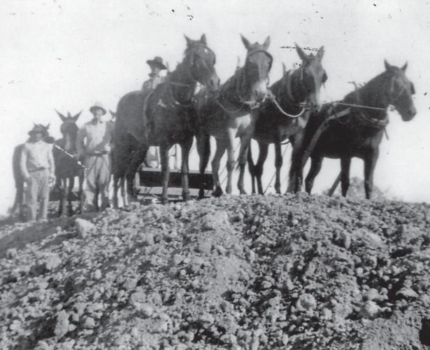 Mr. Wiley wore many hats | Agriculture | pleasantonexpress.com