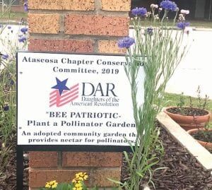 DAR members plant a garden | Life & Entertainment | pleasantonexpress.com