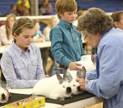 Stock show underway; big auction Saturday | News | pleasantonexpress.com