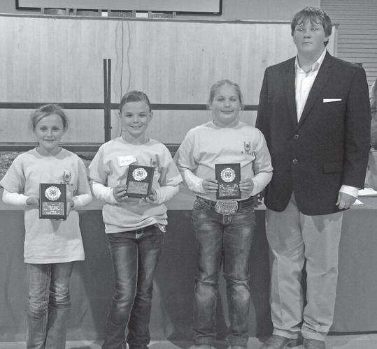 4H Horse Club “A.C.E.E.” competes in District and S.A.L.E. Contests ...