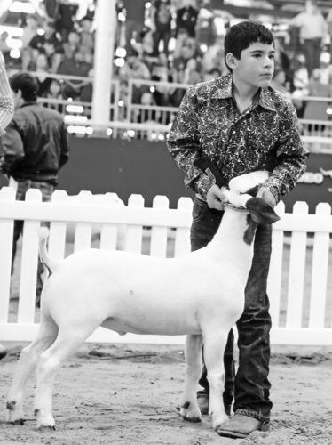 GUZMAN PLACES | Agriculture | pleasantonexpress.com