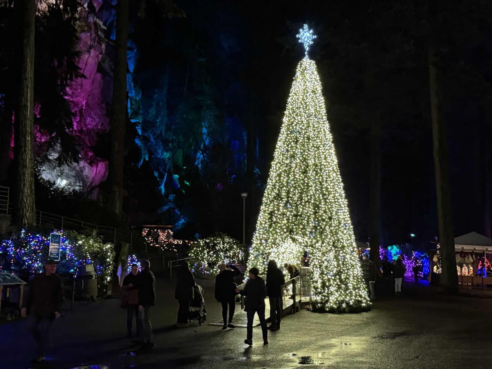 Grotto brightens up Christmas Eve with annual light show Lifestyle portlandtribune