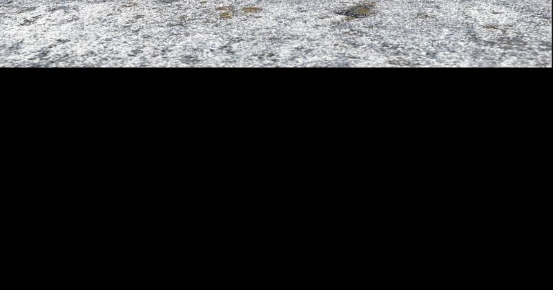 Project Remember Me preparing luminaries | Events | portsmouth-dailytimes.com