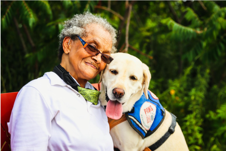 How to Counter Joint Pain in Elder Dogs | Sponsored Content ...