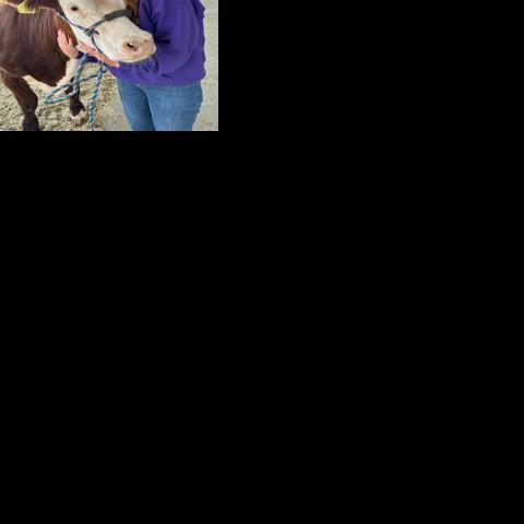 4-H Star: Last year of 4-H before college | 4-H | postregister.com