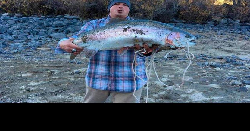 Boise man reels in monster trout | Outdoors | postregister.com