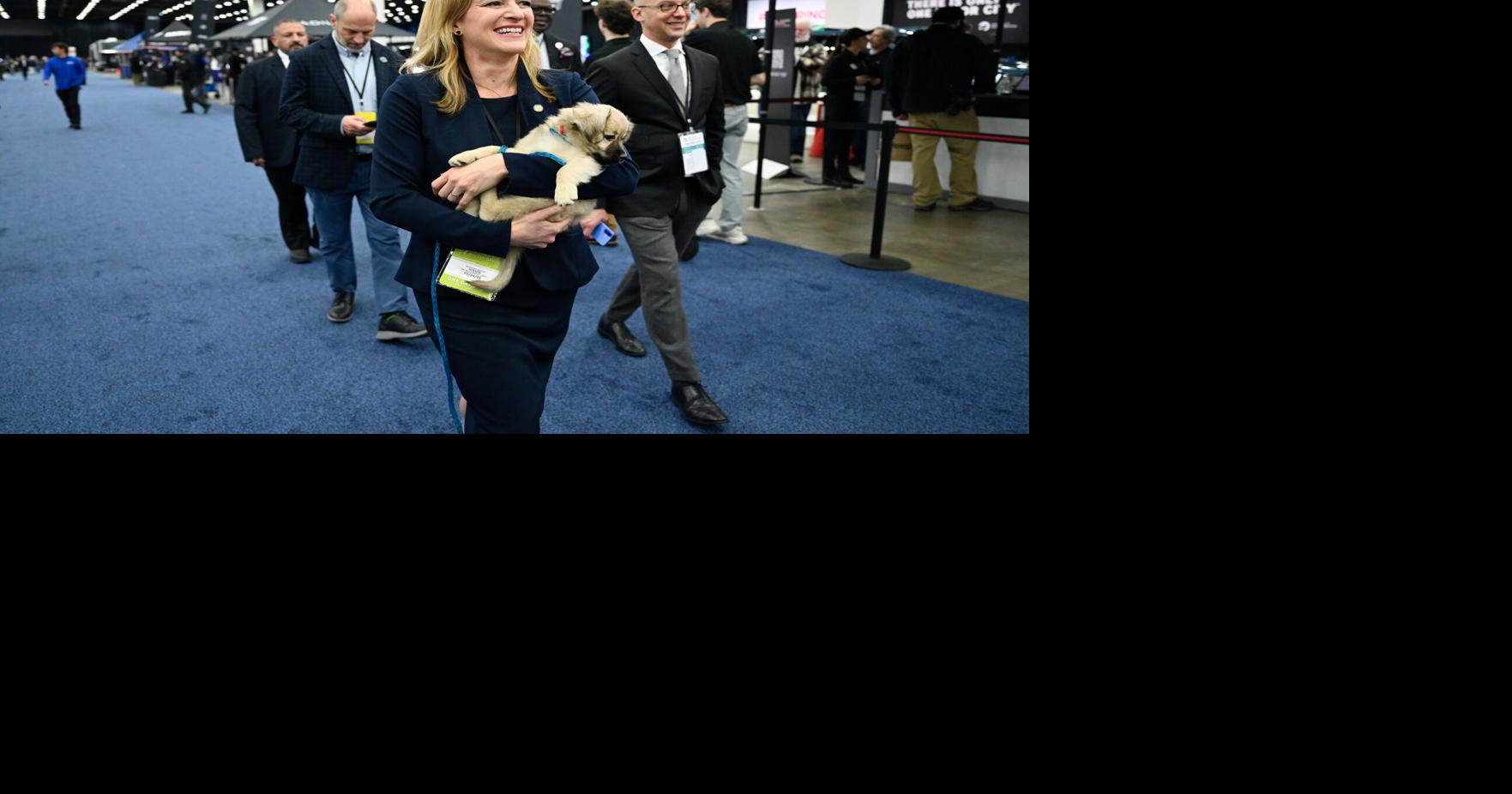 Detroit Auto Show | National News | postregister.com