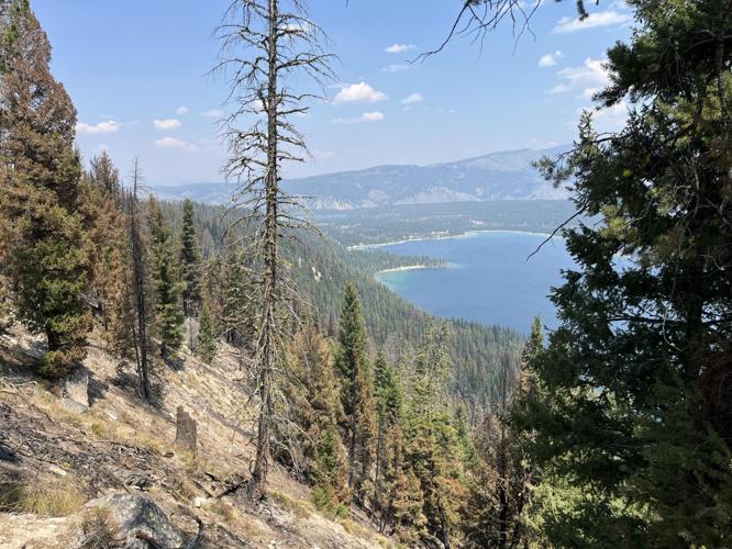 Redfish recreation complex begins to reopen | News | postregister.com