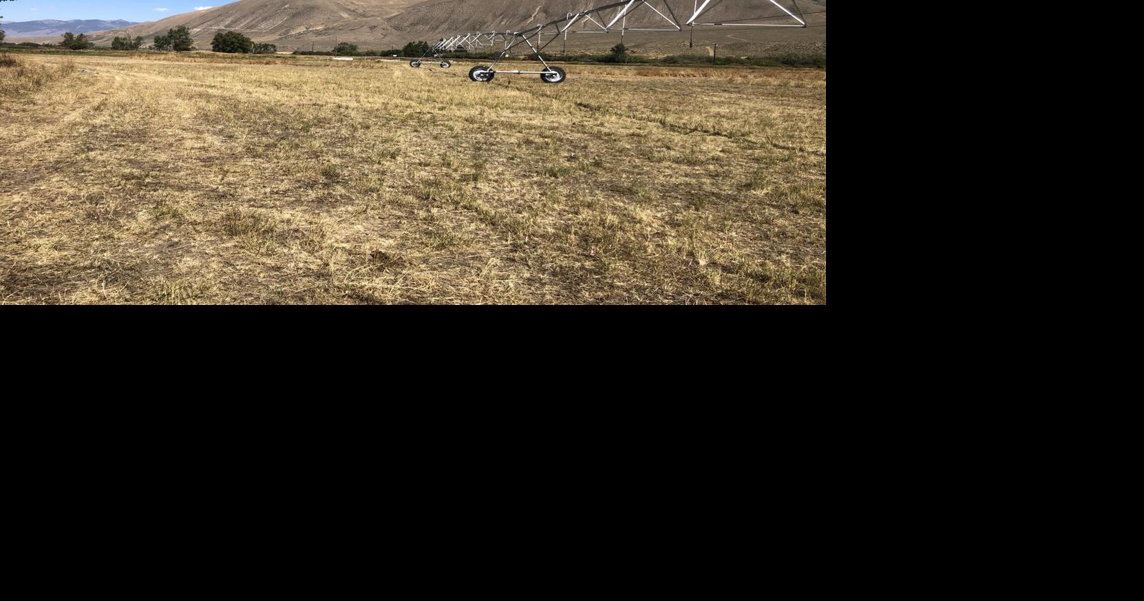 Conservation trifecta: Lemhi Valley projects save water, fish and ...