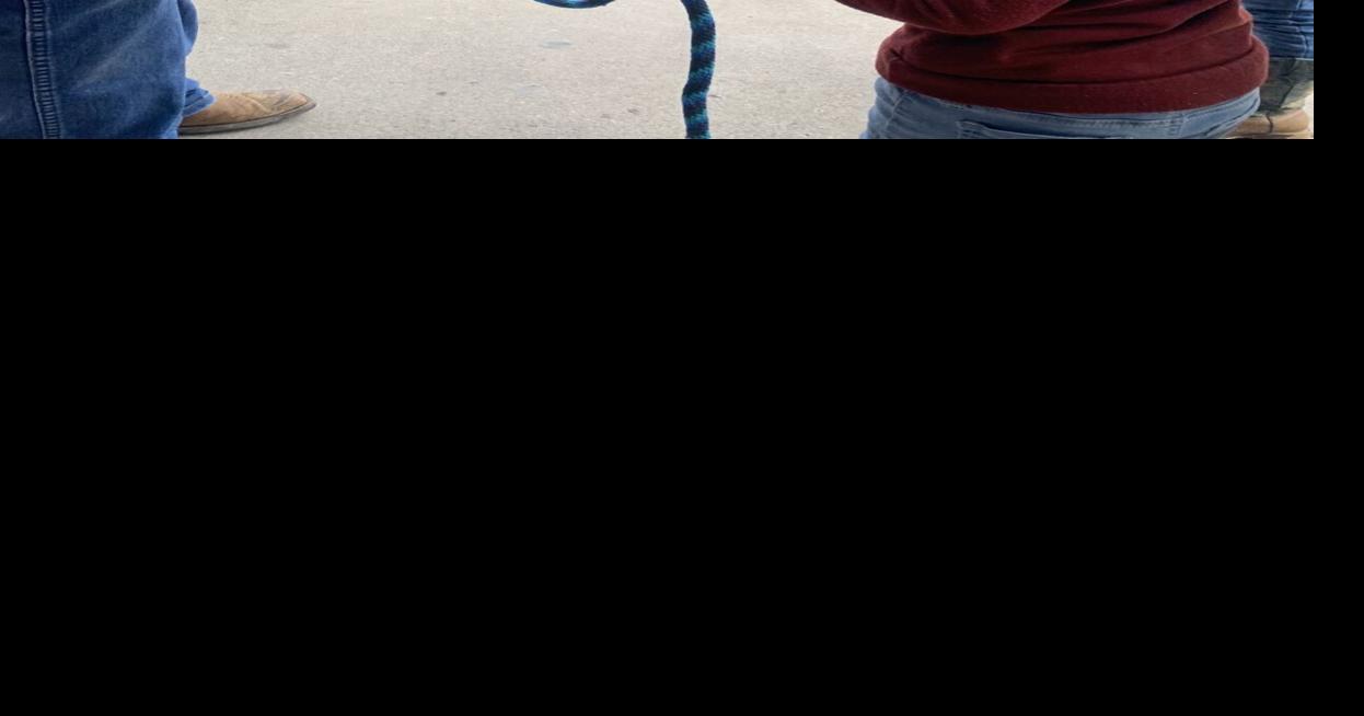 Salvation Army bell-ringers horse around for a good cause | Livestock ...