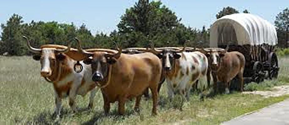 A Look At the Oregon Trail - Part 1 | News | postregister.com