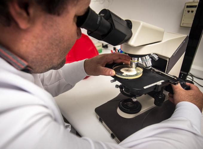 Idaho agriculture looks to Parma for crop research, soil testing ...