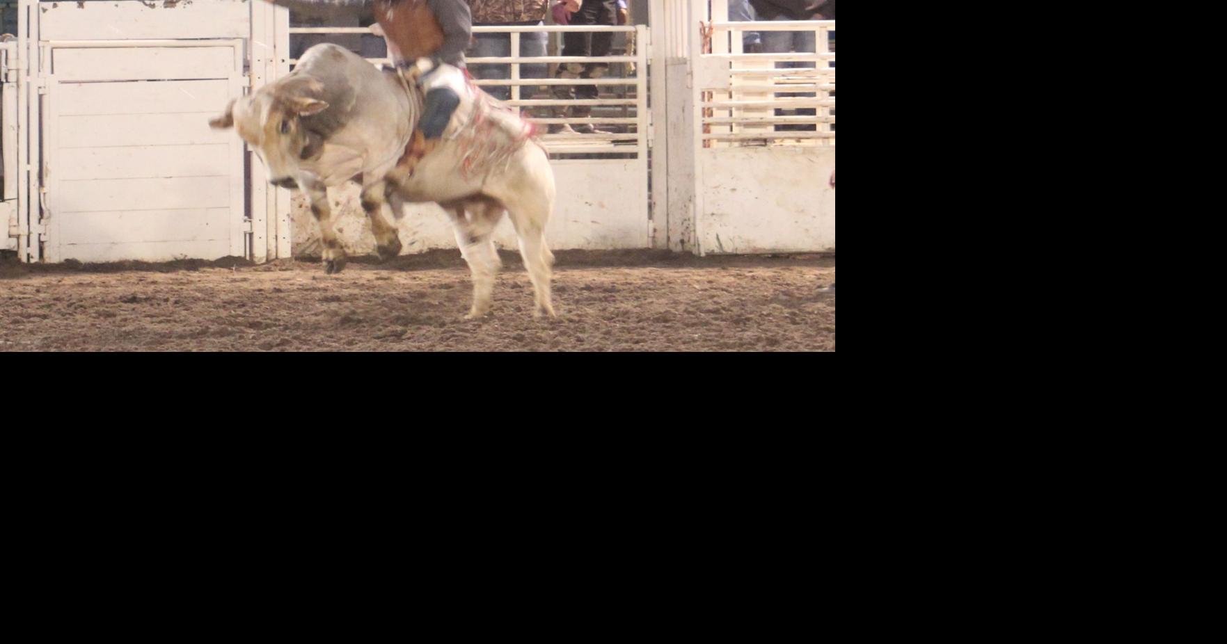 District 4 rodeo tightening things up | Sports | postregister.com