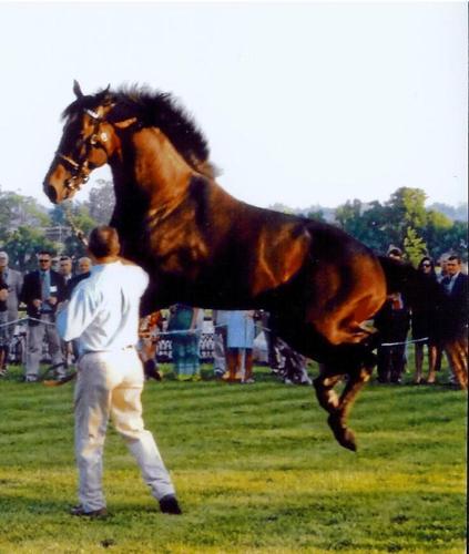 Bruce LaVal Jenson | Obituaries | postregister.com