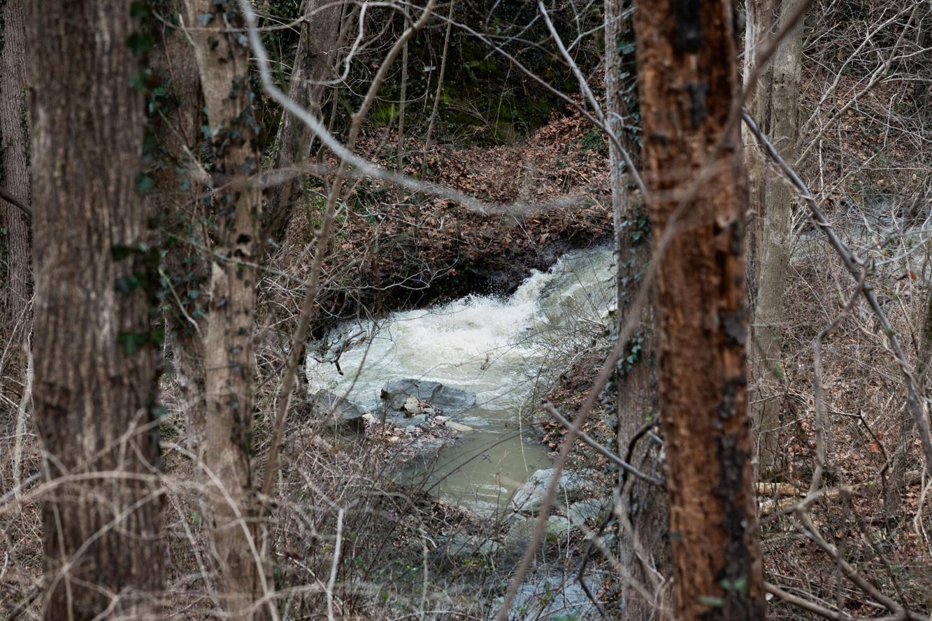 Potomac River Sewage | National News | postregister.com