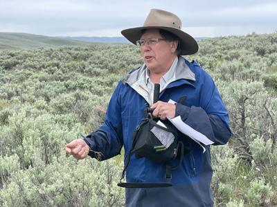 Research at U of I ranch finds promise in long-lasting herbicide | Farm ...