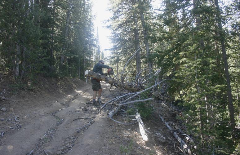 Forest trail clearing gets boost from nonprofit grant funds | News ...