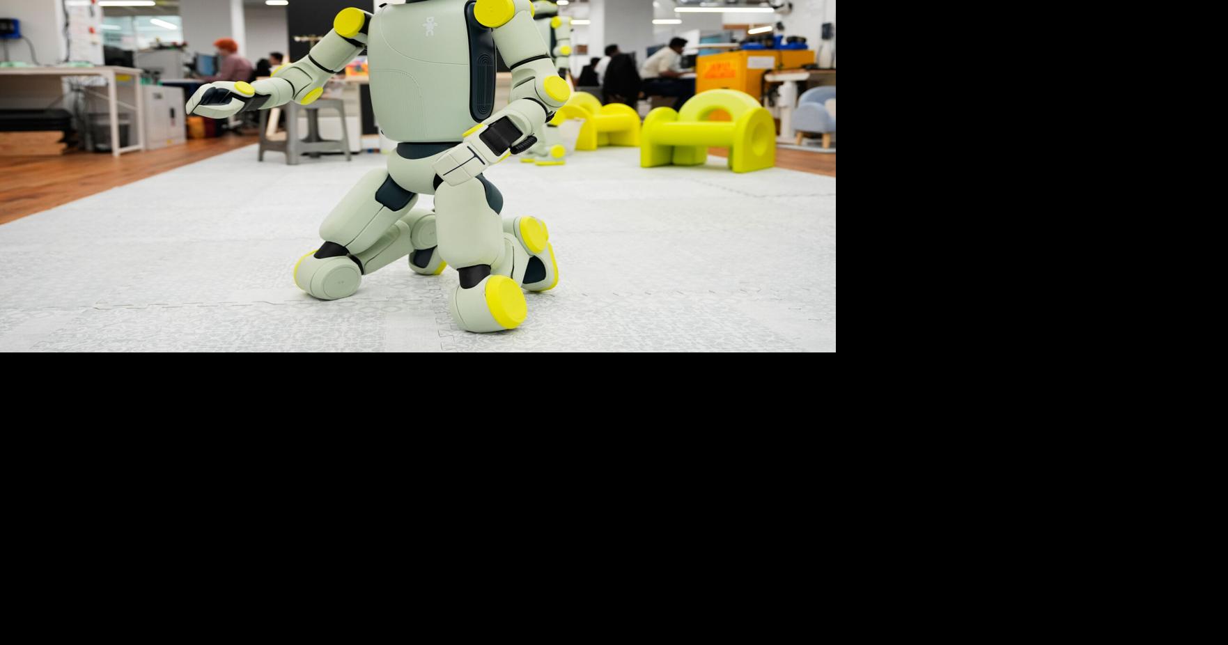 Friendly Humanoid | National News | postregister.com