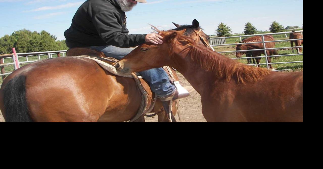 Outlaw Ranch trains good horses | News | postregister.com