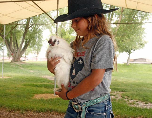 Custer County Fair kicks off Monday | News | postregister.com