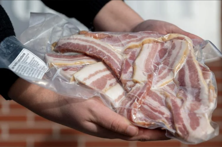 Raising bacon: WSU students get hands-on experience through university ...