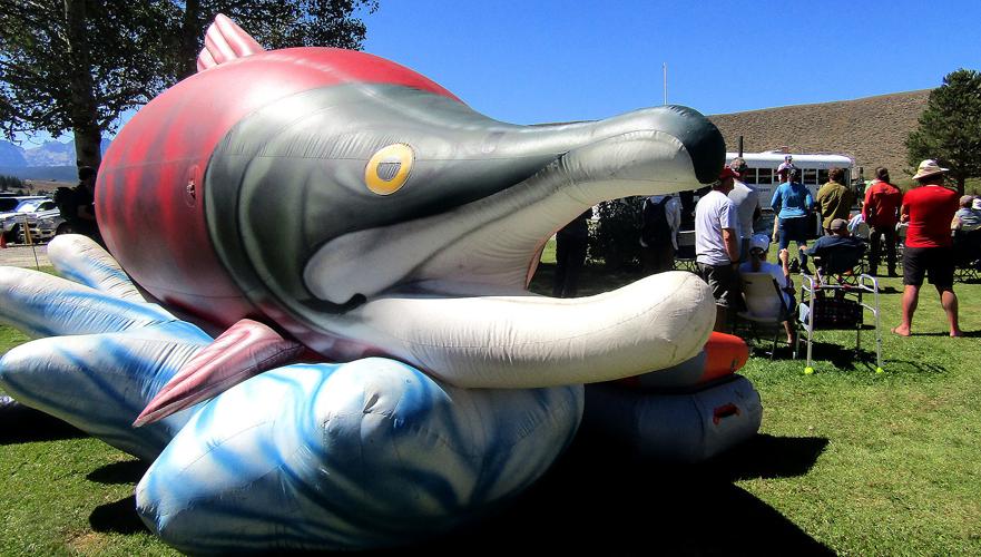 Speakers plead for salmon recovery | News | postregister.com