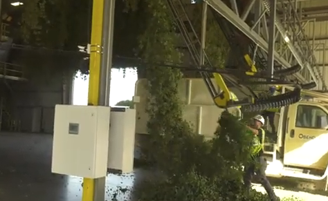 Farming green: Parma hops farmers using 100% renewable energy through ...