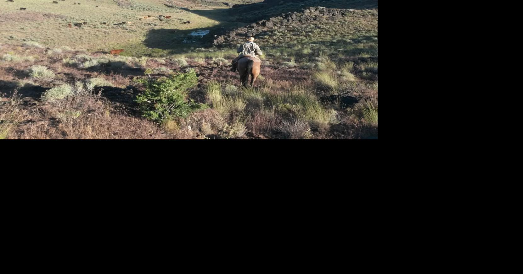 The Owyhee Initiative collaborative: An Idaho success story | Farm ...