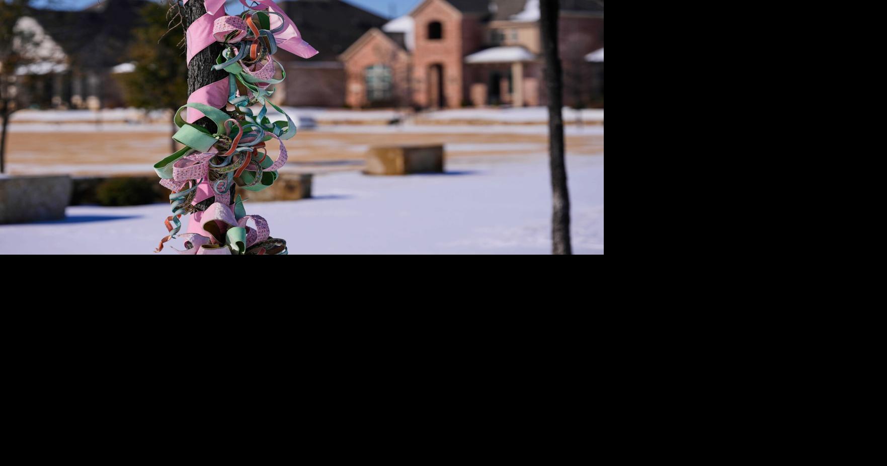 Winter Weather Texas | National News | postregister.com