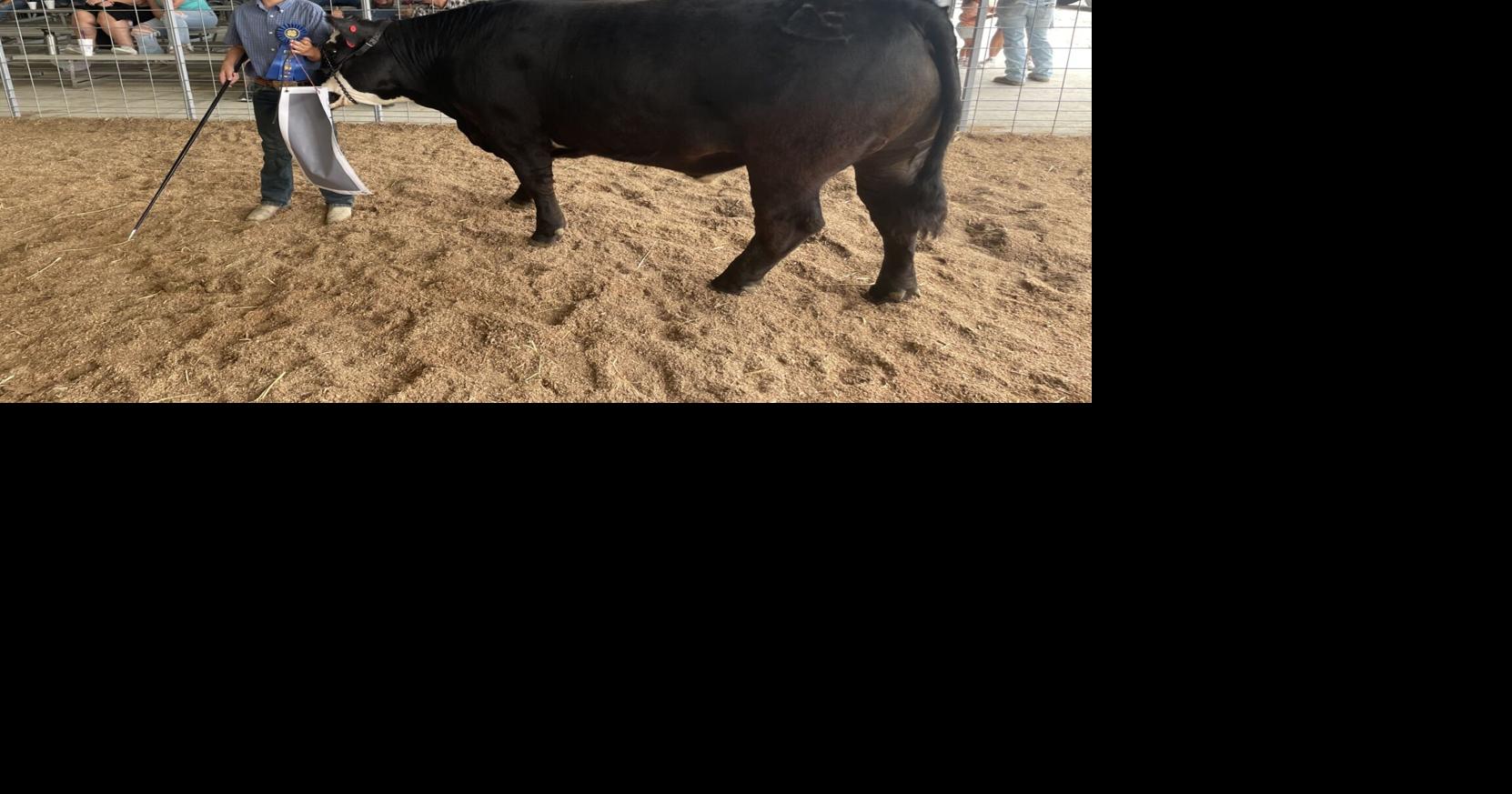 Mud Lake Fair announces project winners | News | postregister.com