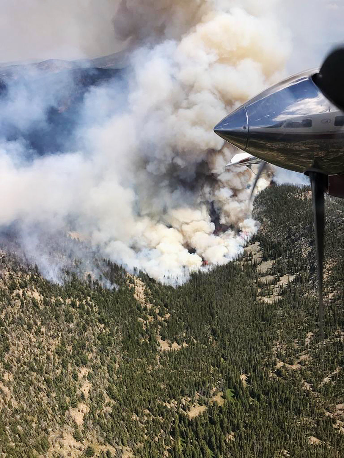 Rabbit Foot Fire grows rapidly | News | postregister.com