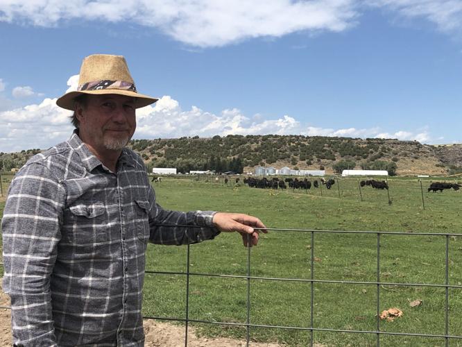 Farming potatoes, barley and … yaks | Eastern Idaho | postregister.com