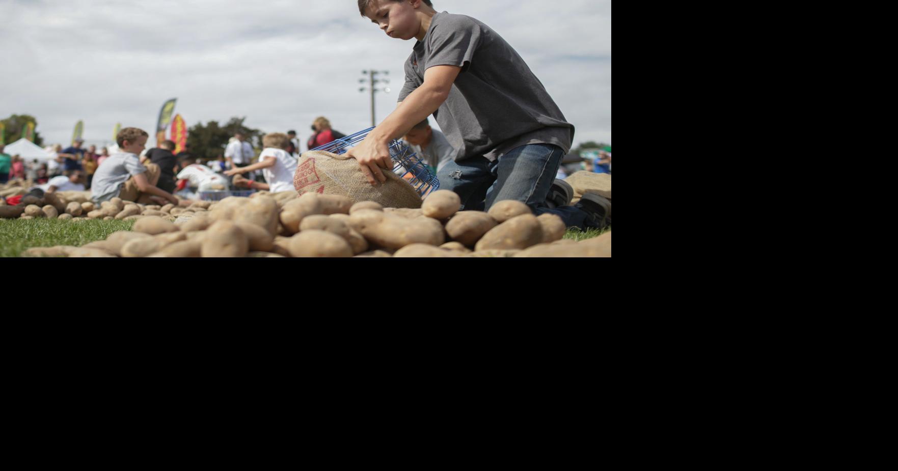 Photo Gallery: Spud Day 2018 | News | postregister.com