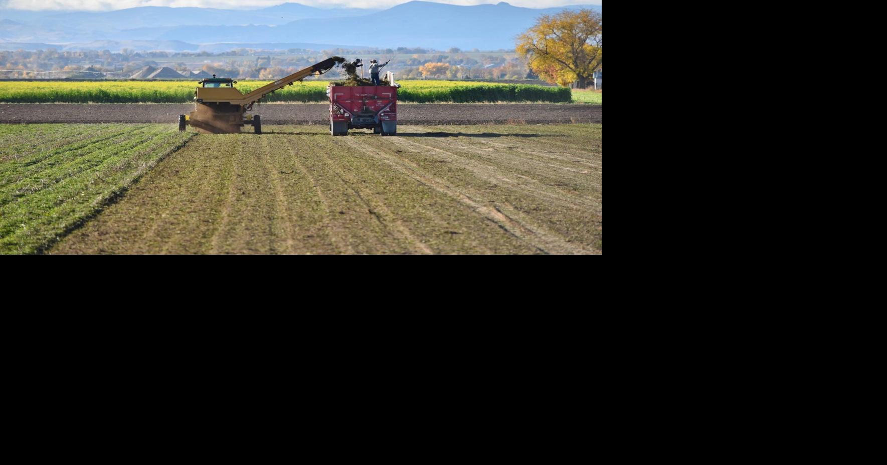 Farming again leads national Gallup poll | Western Life | postregister.com