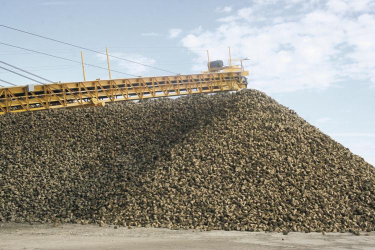 Sugar beet industry still going strong | Crops | postregister.com