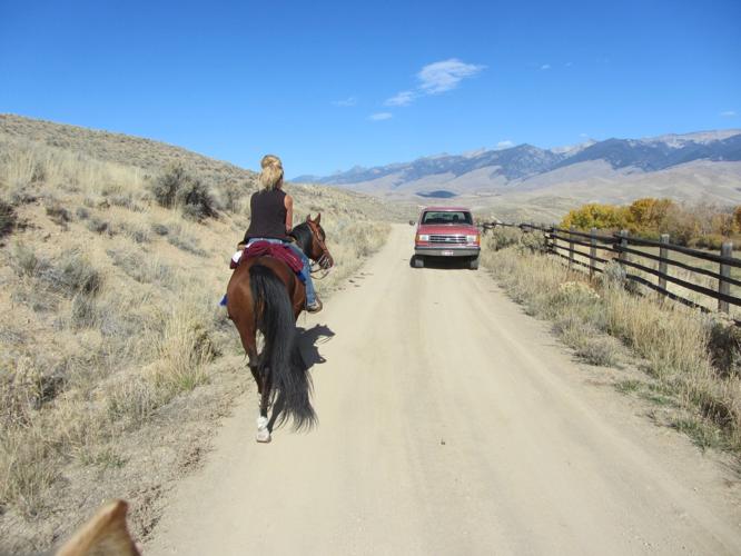 Barnyard Basics: Tips for riding safely along a road: Handling and ...