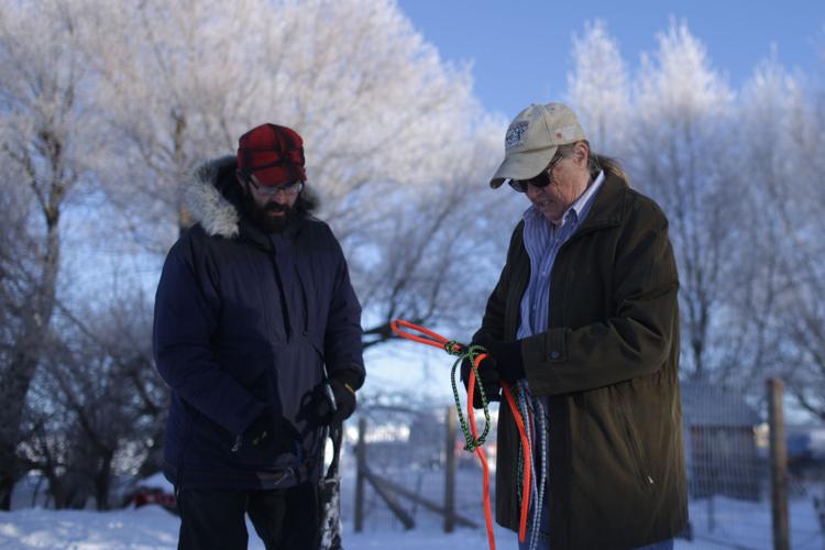 Dogsledding: Art in chaos | Local News | postregister.com