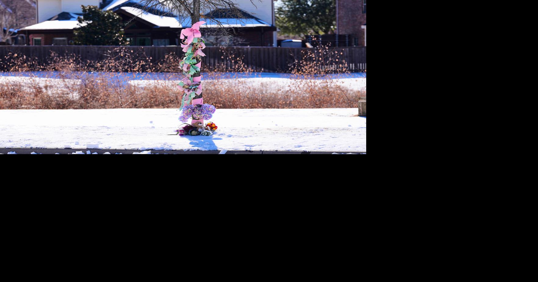 Winter Weather Texas | National News | postregister.com