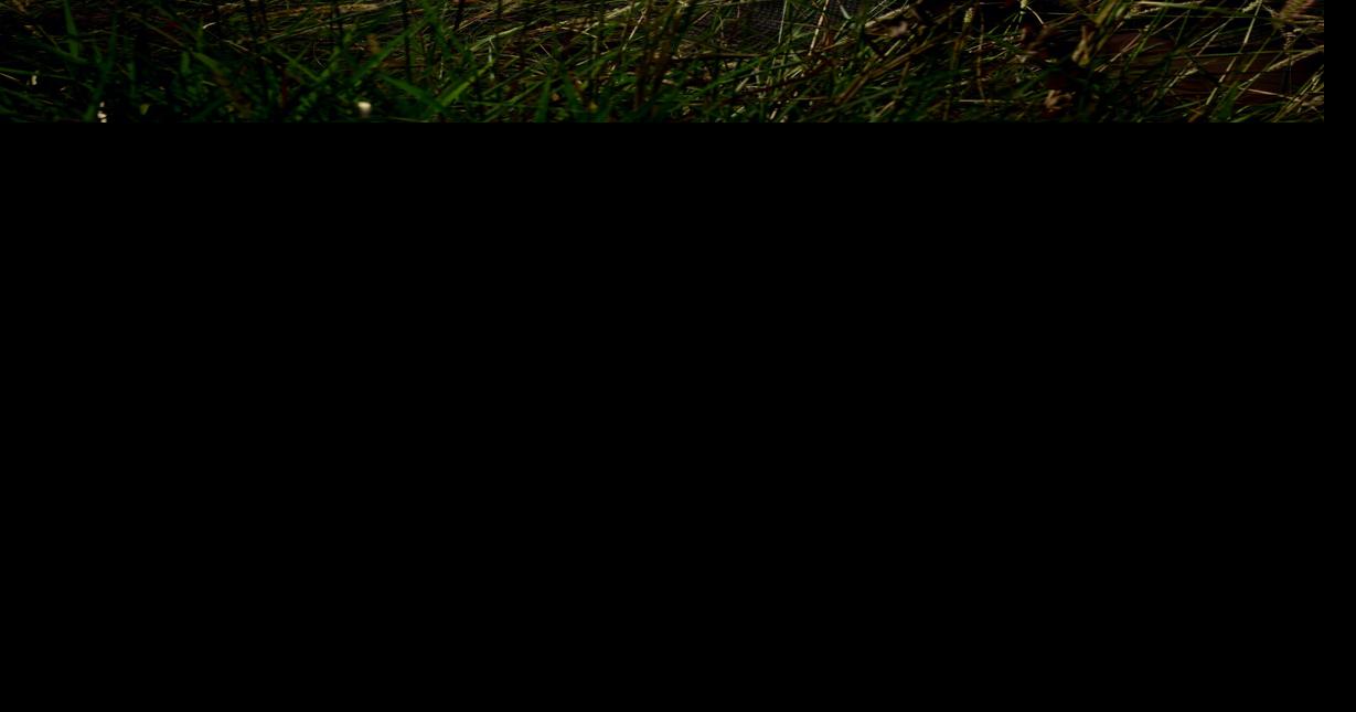 Philanthropy Miguel Santana | National News | postregister.com