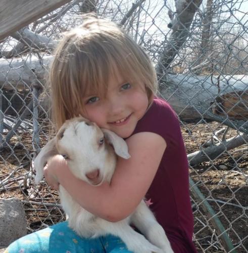 4-H Star: Raising a goat named spot | 4-H | postregister.com