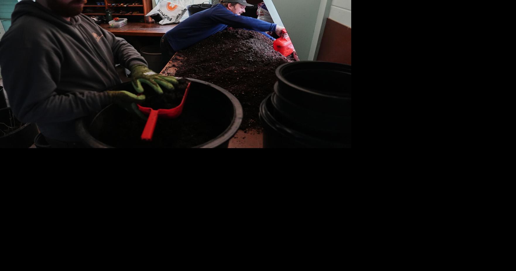 Climate Tree Equity | National News | postregister.com