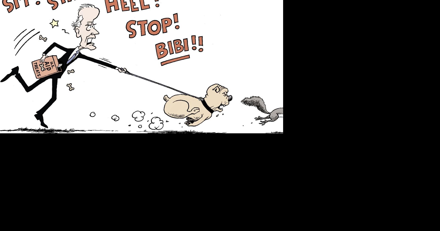 CHASING THE SQUIRREL | Cartoons | postregister.com