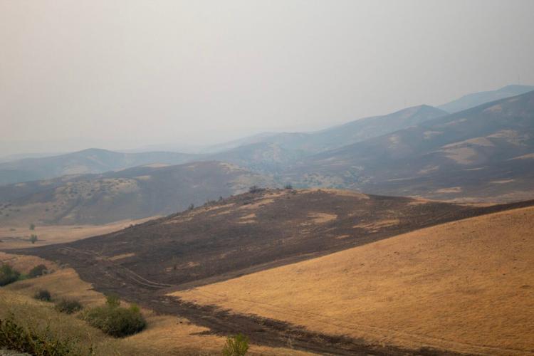 Idaho ranchers faced with tough decisions in the aftermath of summer ...