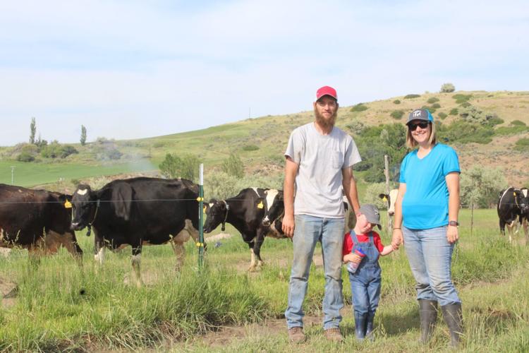 Couple starts Preston organic dairy amid tumultuous market | Dairy ...