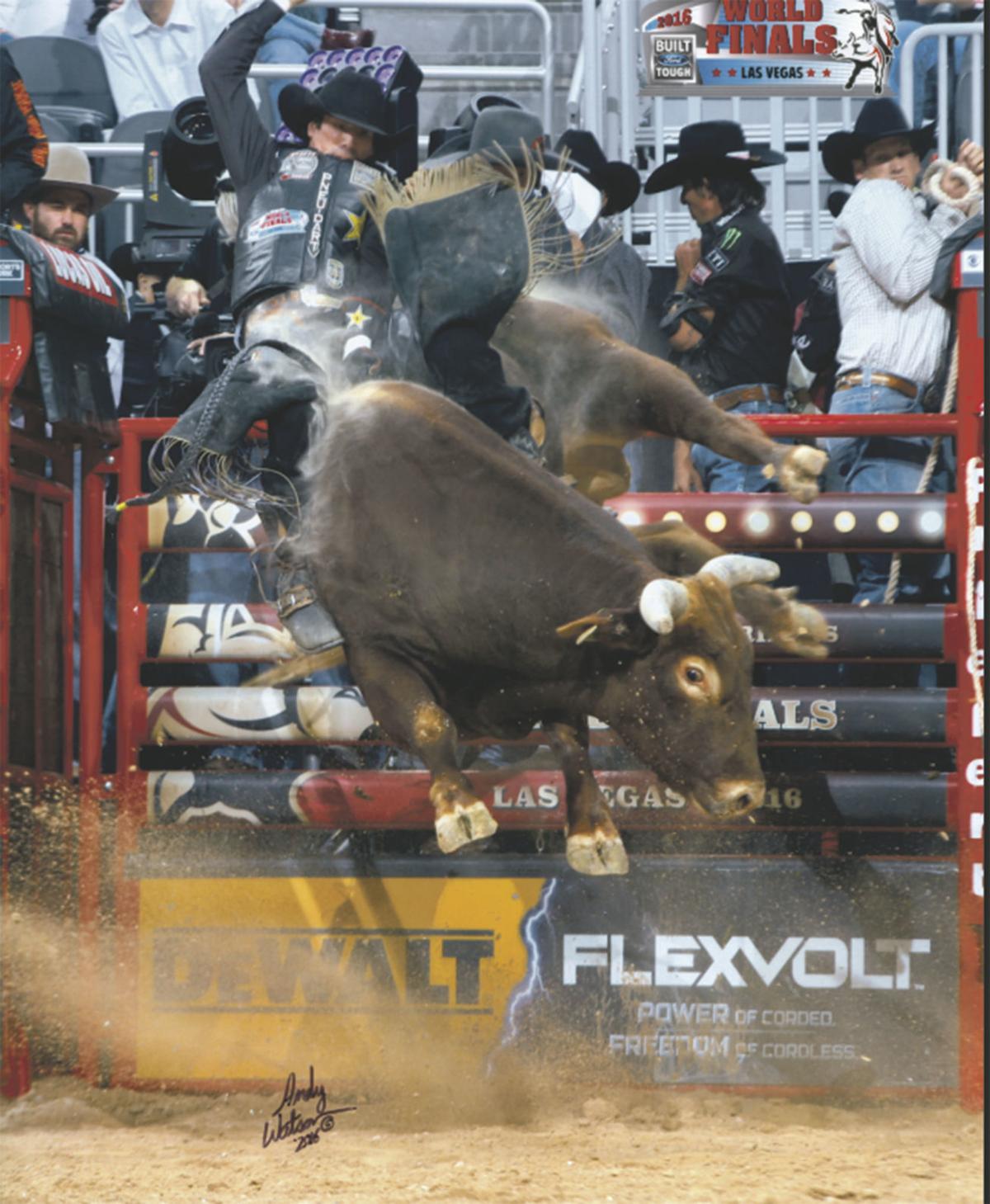 Bucking bulls to battle it out | Idaho | postregister.com