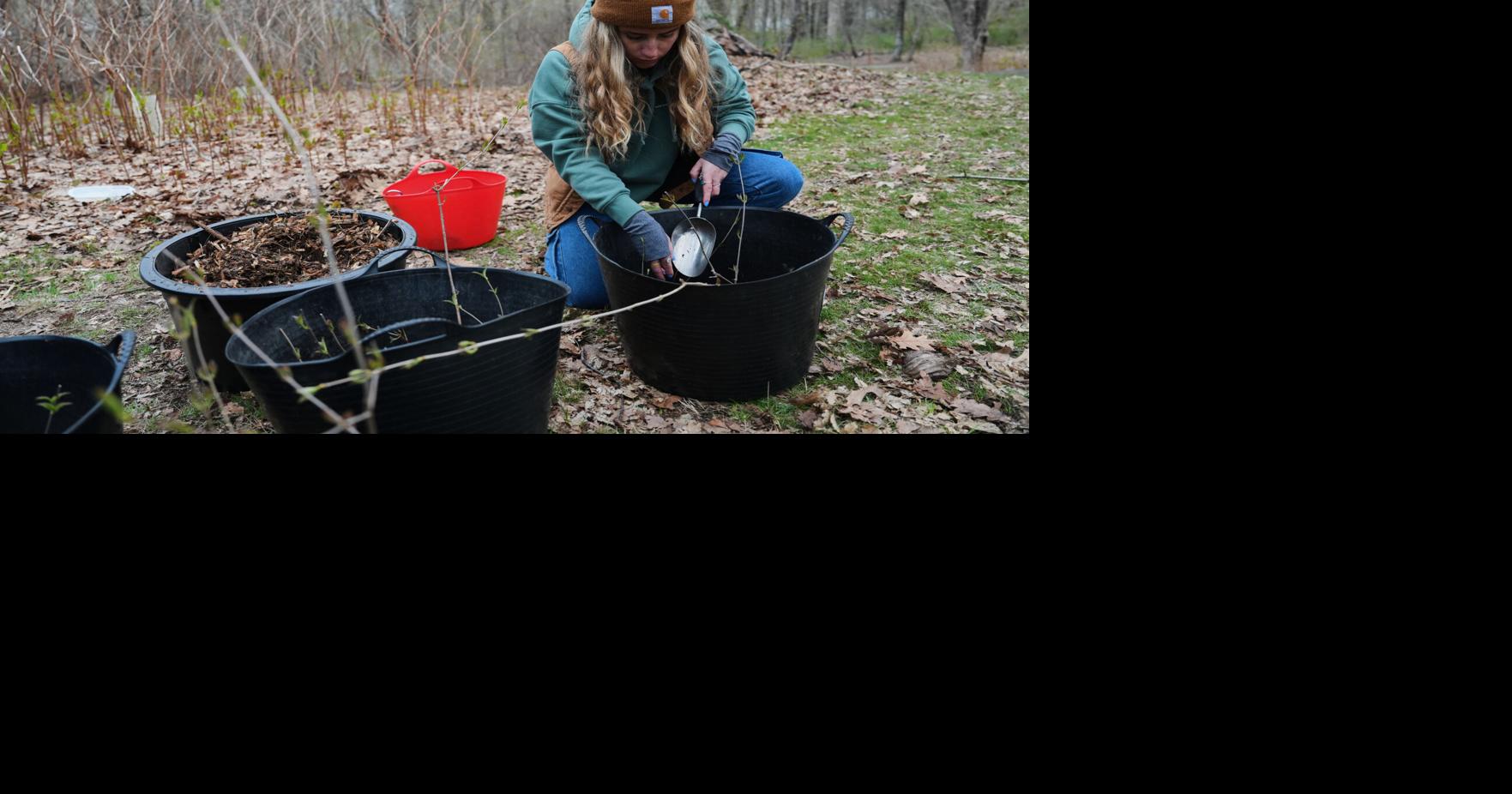 Climate Tree Equity | National News | postregister.com