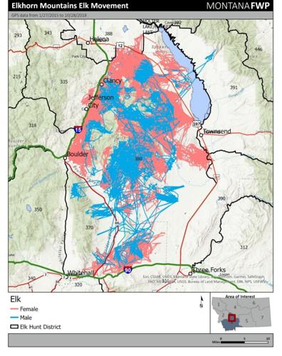 FWP studies elk along I-15 between Clancy and Boulder | Outdoors ...