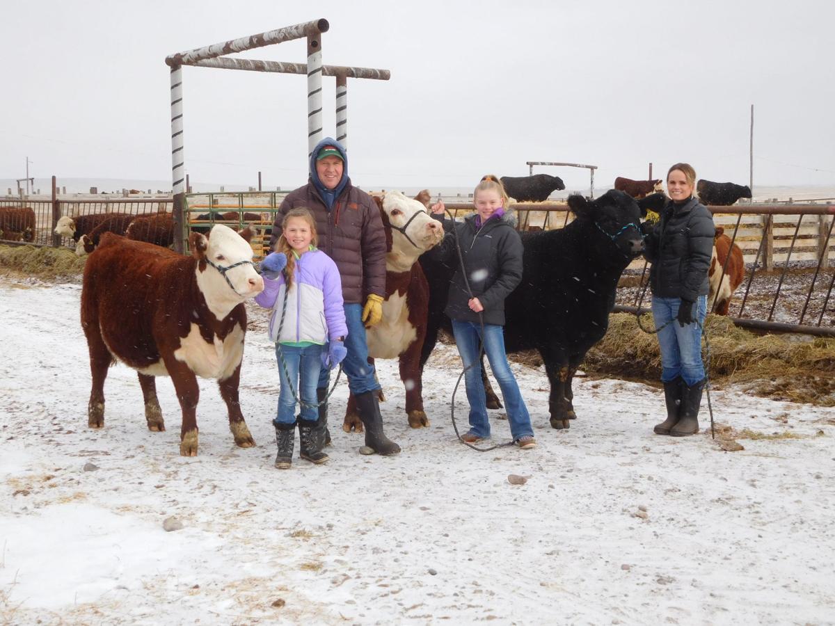 Blackfoot ranch to show bulls in livestock 'Super Bowl' | Eastern Idaho ...