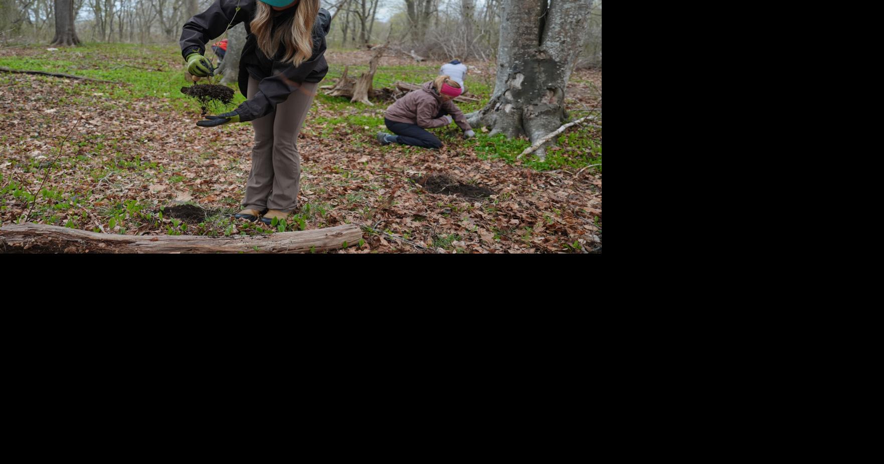 Climate Tree Equity | National News | postregister.com