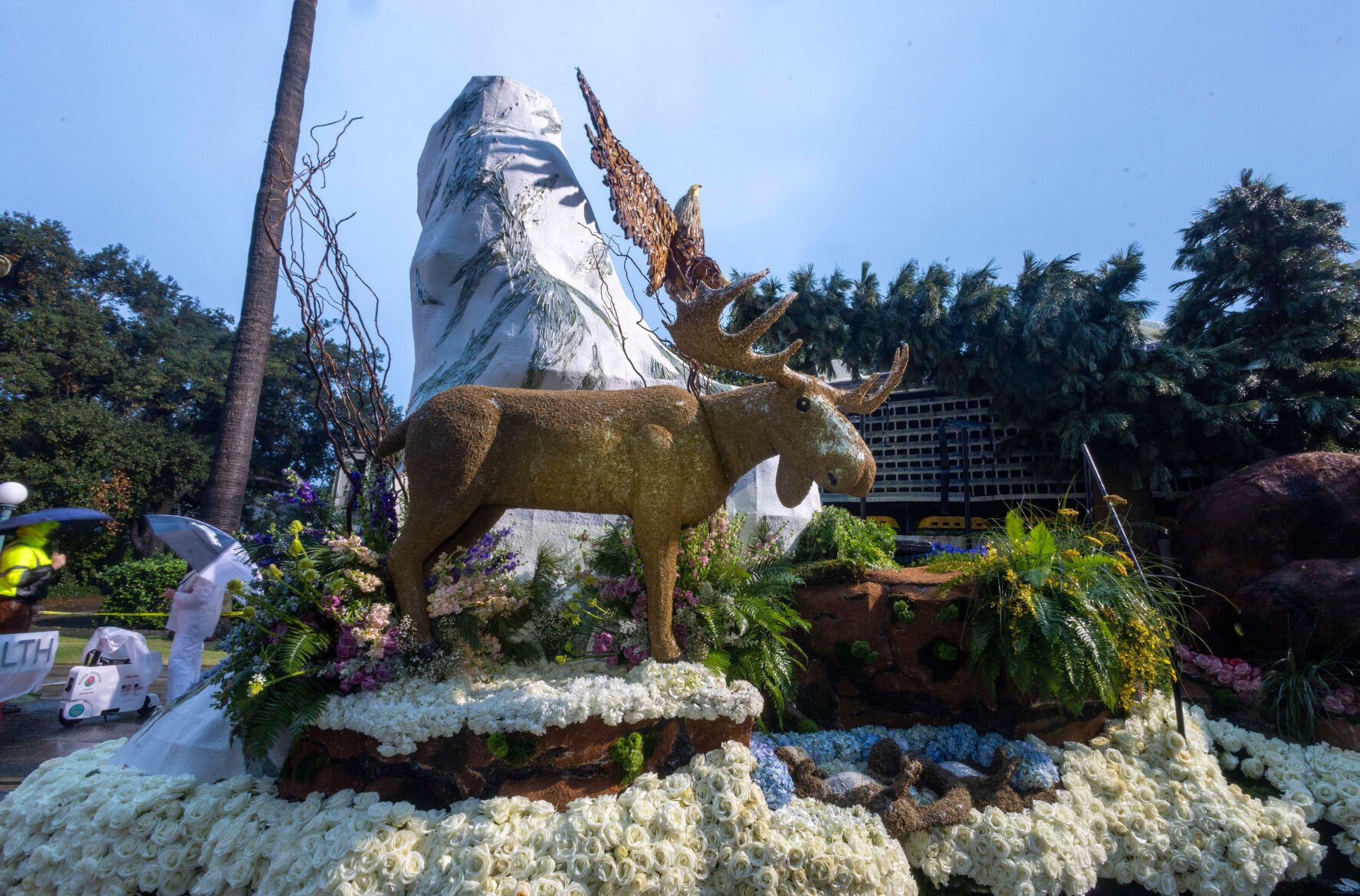 2026 Princess Cruises x Rose Parade® presented by Honda | National News ...